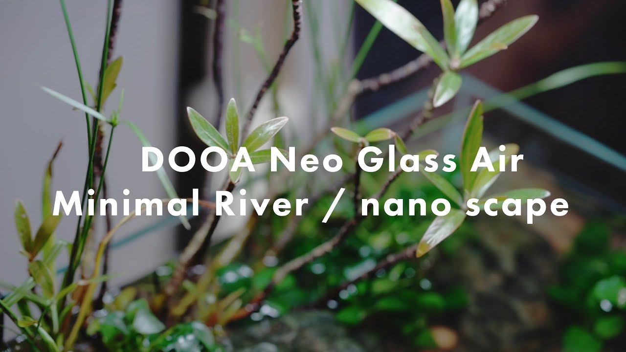 DOOA Neo Glass Air / Minimal nano scape - YouTube