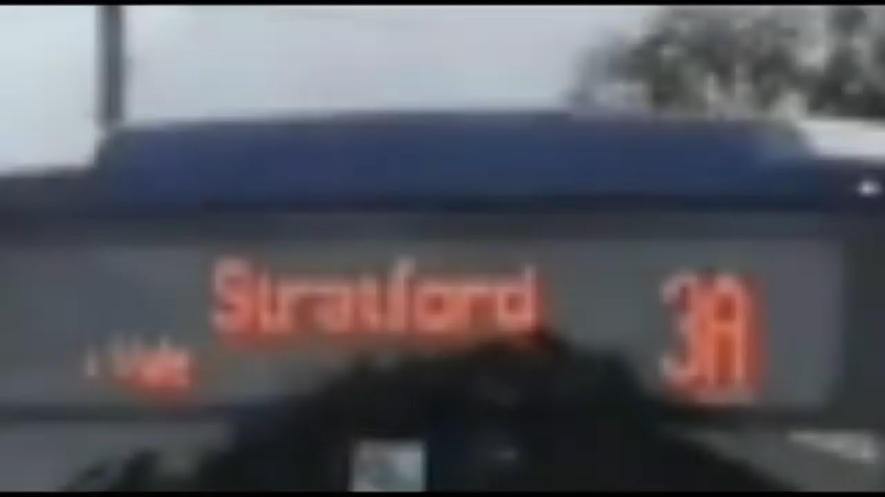 School bus Route 23/3/3A Route Timelapse in the afternoon - YouTube