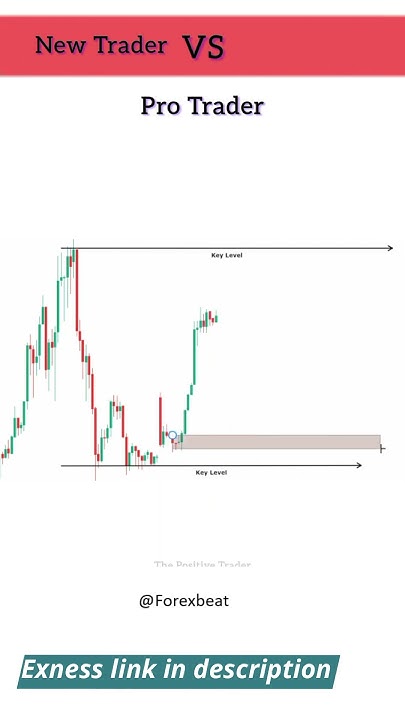 New Trader VS Experience Trader | Xauusd FVG Trading Strategy | #trading #forex #xauusd #shorts ...