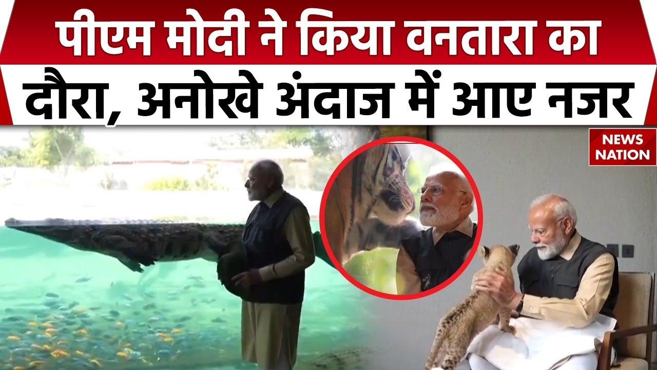 PM Modi Vantara Visit: पीएम मोदी ने वनतारा पशु संरक्षण केंद्र का किया ...