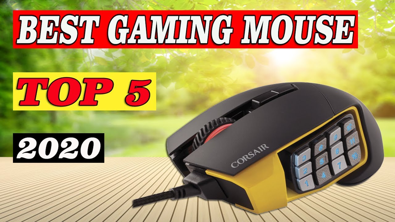 Top 5 Best Gaming Mouse in 2020 - YouTube