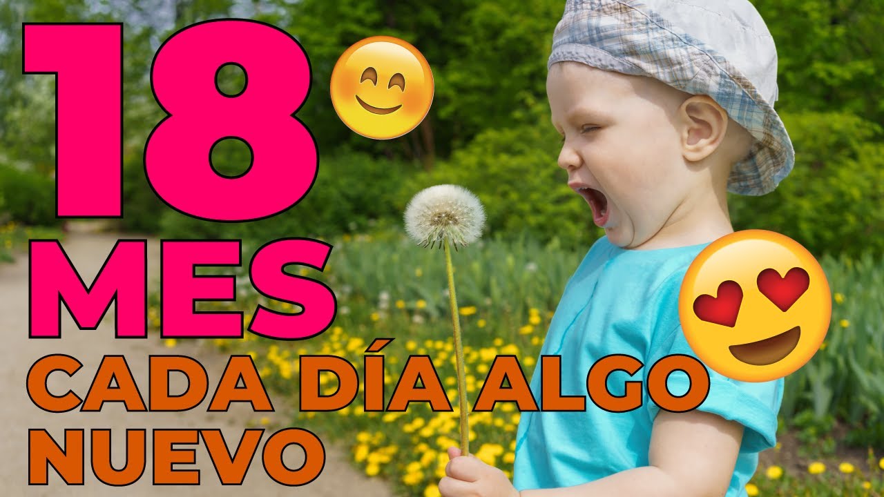 BEBE DE 18 MESES - Desarrollo del bebe mes a mes 👶🏻 - YouTube
