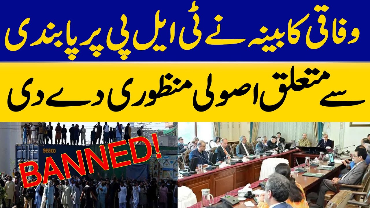 Federal Cabinet Approves In-principle Ban on TLP | Dawn News - YouTube