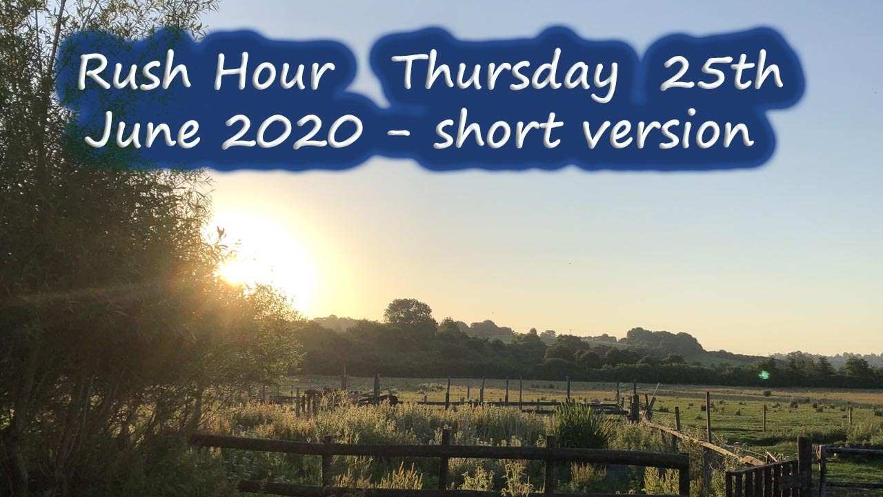 Thursday morning rush hour short version - YouTube