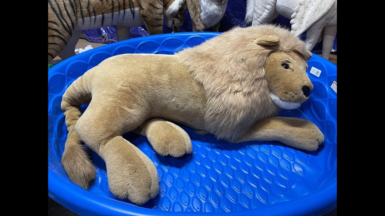 Destroy Rare Huge Douglas Monarch Lion Stuffed Animal Shredded! - YouTube
