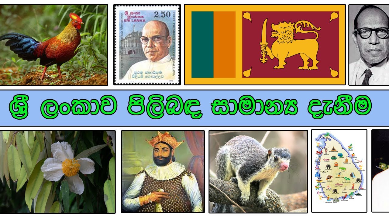 ශ්‍රී ලංකාව පිලිබඳ සාමාන්‍ය දැනීම | General Knowledge about Sri Lanka ...