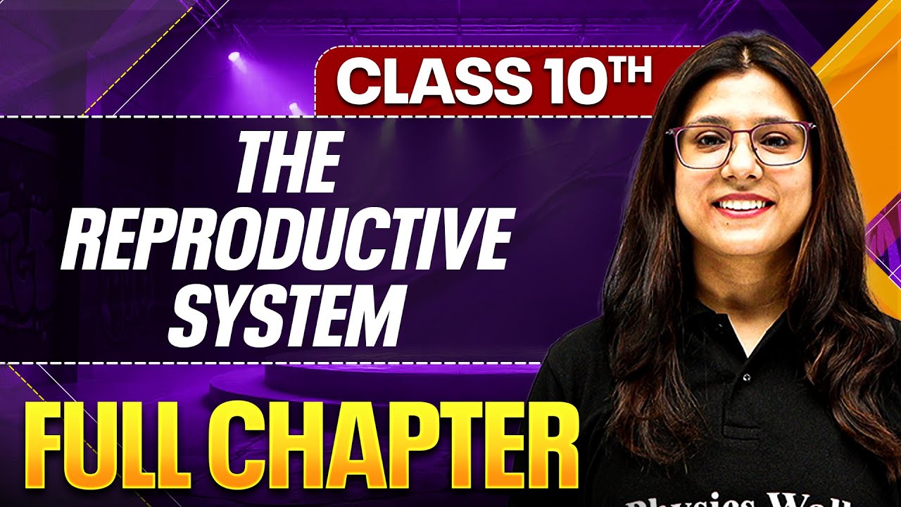 THE REPRODUCTIVE SYSTEM Complete Chapter In One Shot ( Theory + PYQs ...