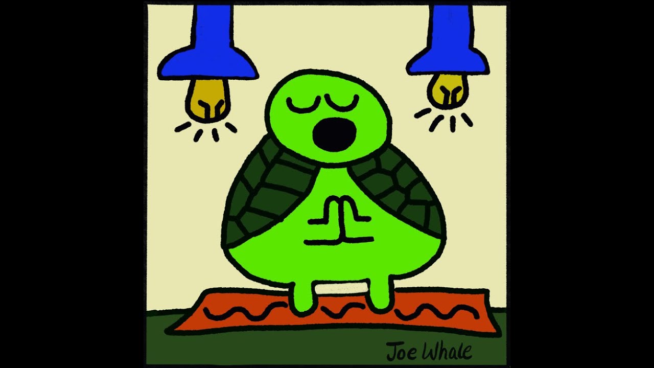 The super chilled Praying Turtle...#shorts - YouTube