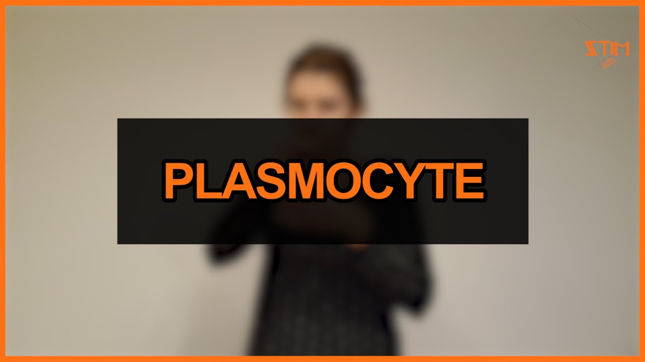Plasmocyte (Microbiologie) - LSF - YouTube
