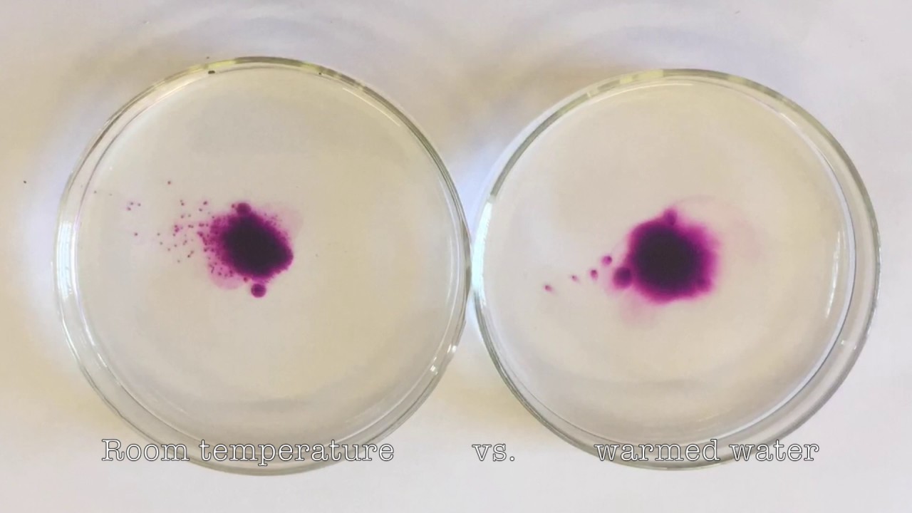 Diffusion Experiment - YouTube