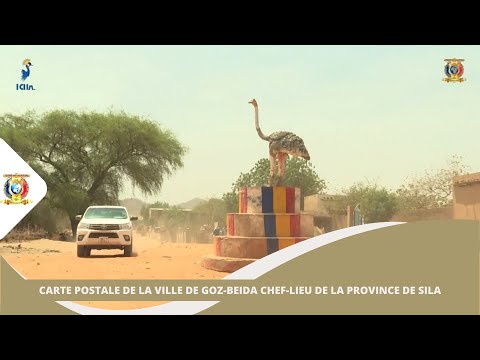 CARTE POSTALE DE LA VILLE DE GOZ-BEÏDA CHEF LIEU DE LA PROVINCE DE SILA