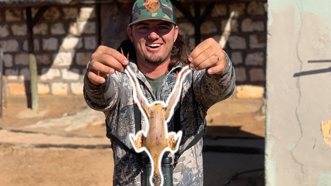 Most DELICIOUS Wild Bird In Africa!! {Catch Clean Cook} - YouTube