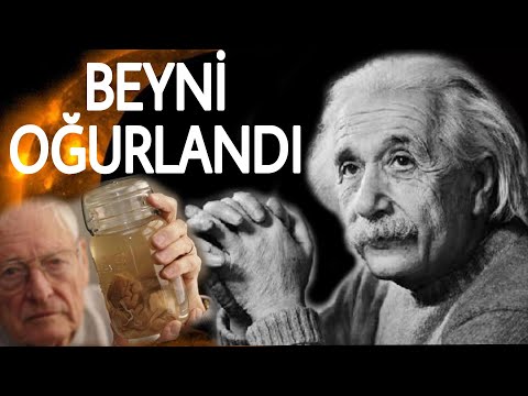 Əsrin böyük dühası. Albert Eynşteyn