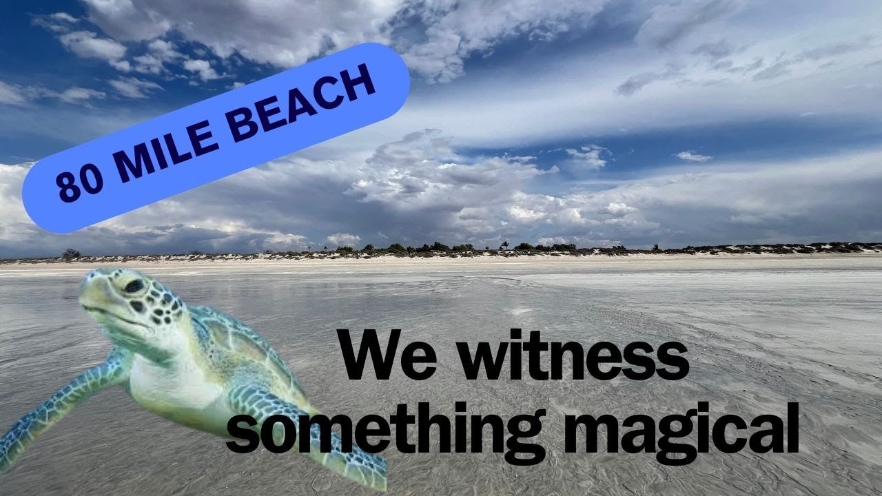 Travelling Australia in the Summertime - Eighty Mile Beach Western ...