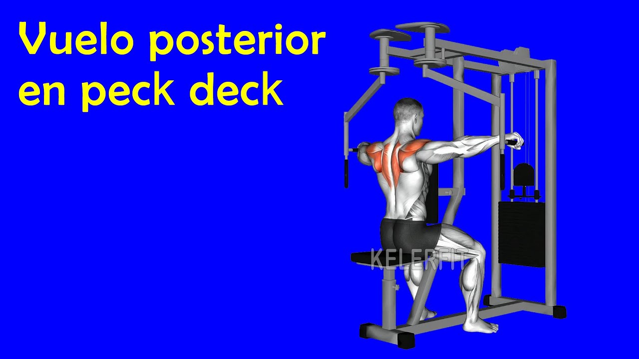 Ejercita el hombro con la rutina vuelo posterior en peck deck - YouTube