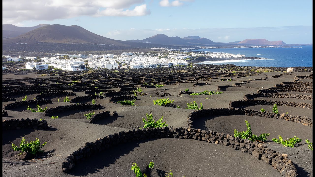 The Island That Grows Wine in Volcanic Ash | Unique Vineyards in ...