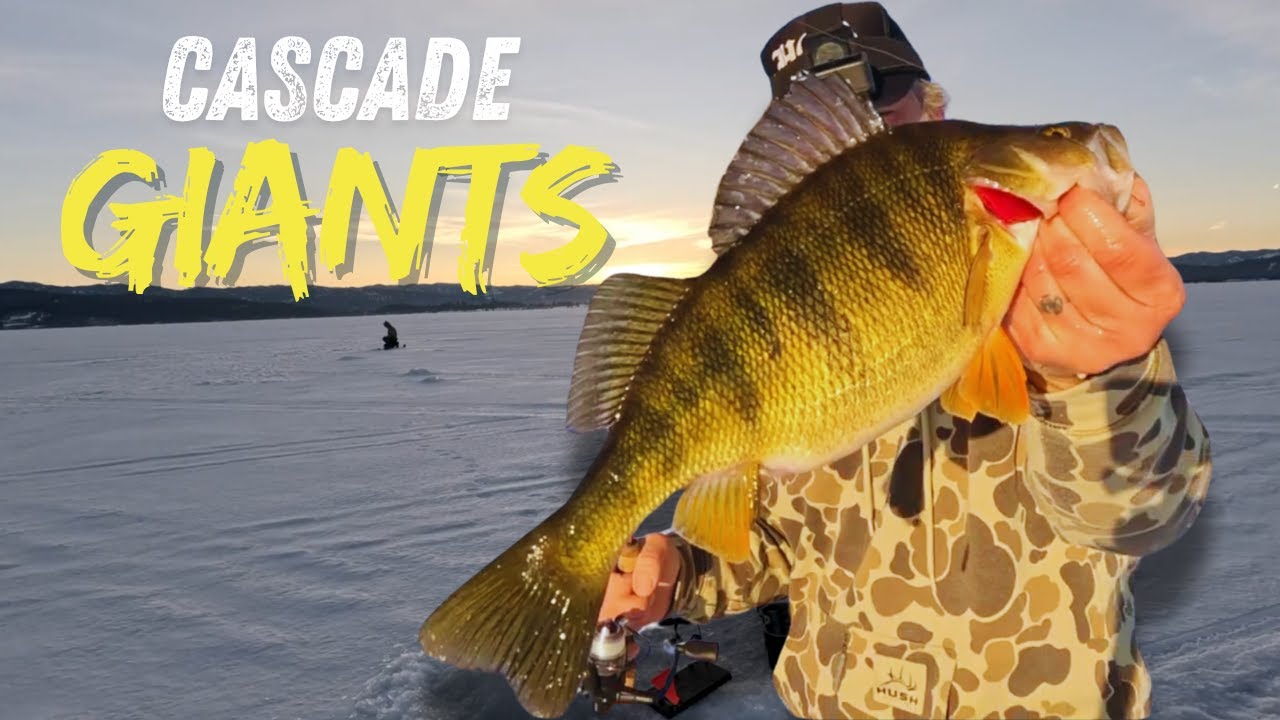 Late Ice GIANT Cascade Perch - YouTube