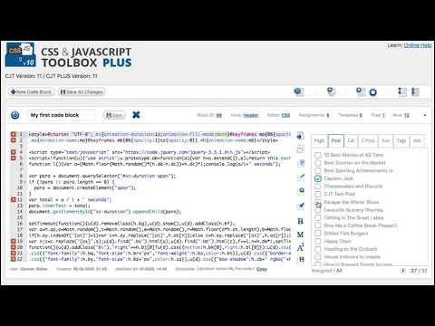 WordPress Plugin: CSS & JavaScript Toolbox PLUS version 11 - YouTube