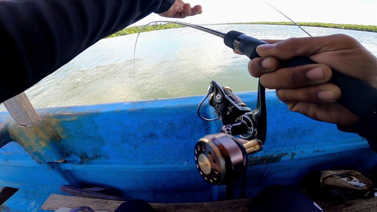 Mancing ikan muara disekitar Hutan Mangrove segara anakan Cilacap - YouTube