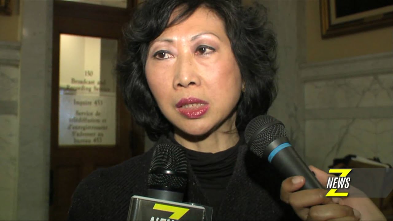 ZNews: CARP's Susan Eng on HST - YouTube