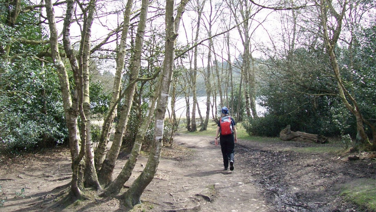 Sutton Park Walks In Birmingham, West Midlands, England, UK - YouTube