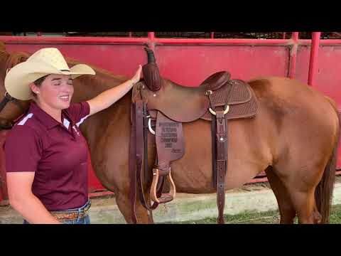 Good Horse! How to Properly Fit a Western Saddle - YouTube