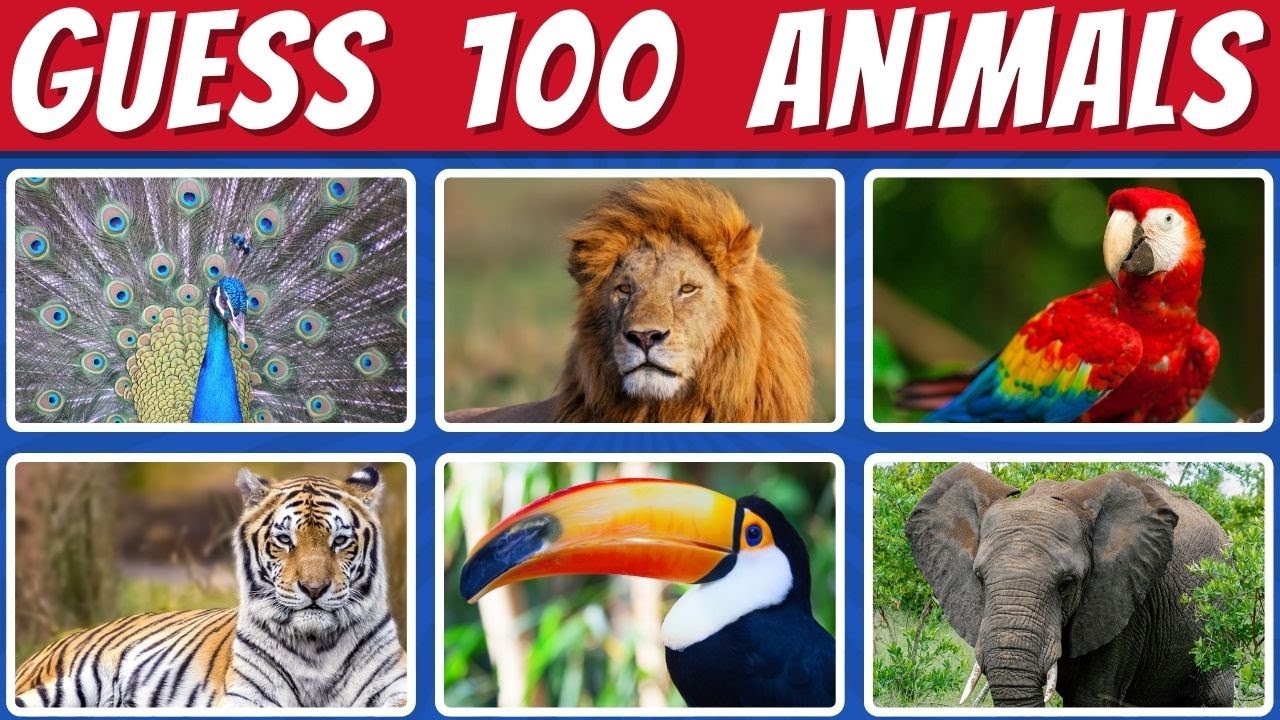 Can You Guess the Animals in 5 Seconds 🐢🦁 | Ultimate Animal Quiz ...