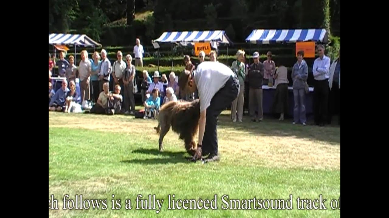 Richard Curtis K9 freestyle dancing dogs Disco dancing - YouTube