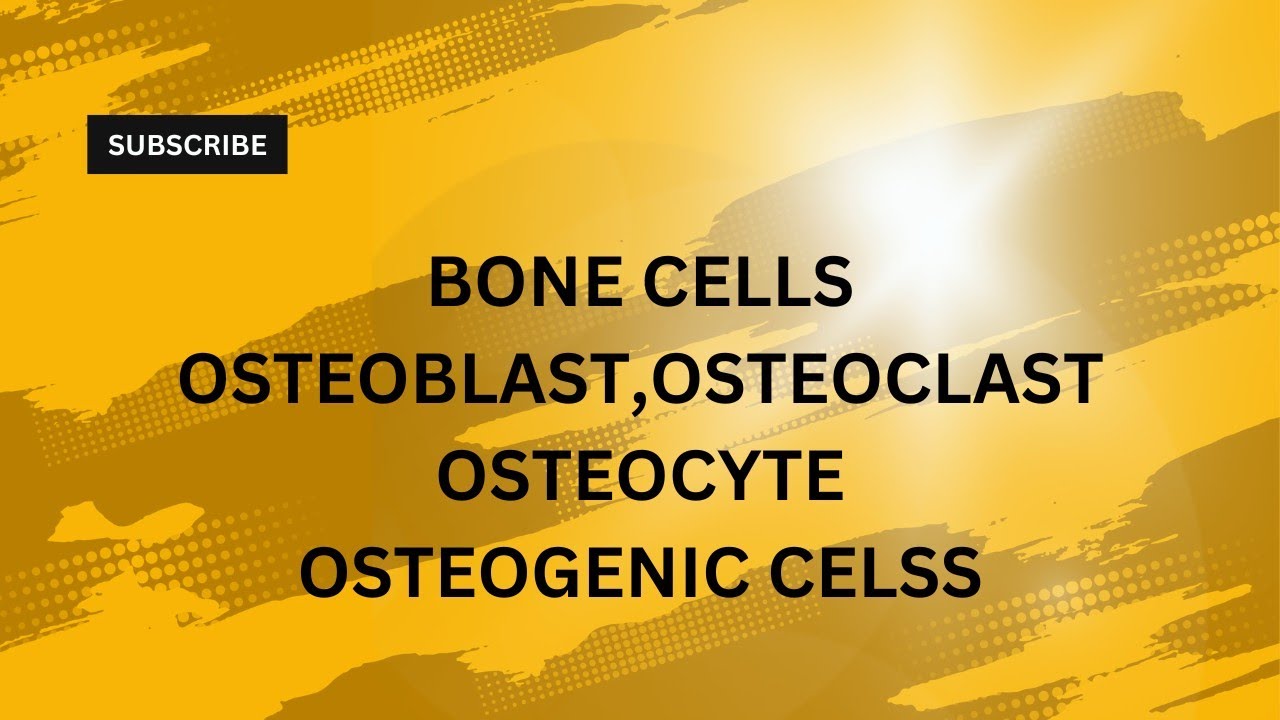 Cells Free Fulltext Osteoblastosteoclast