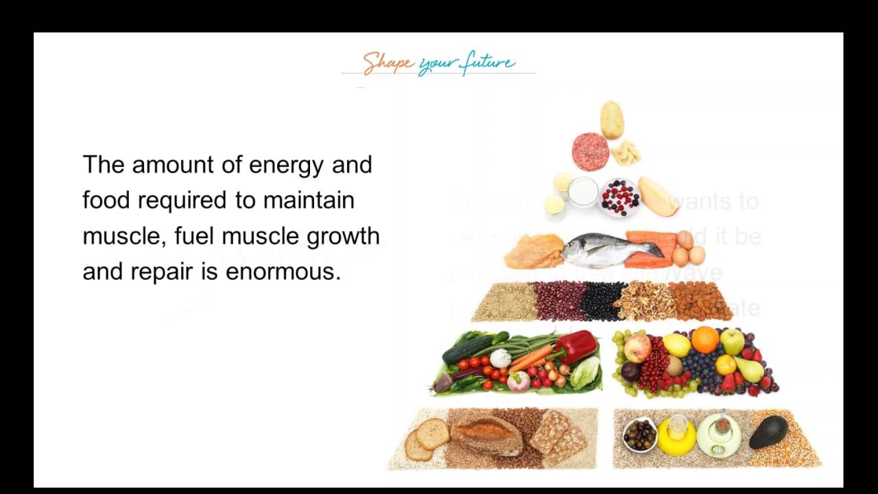 WinFit Launch 09 21 2016 - YouTube