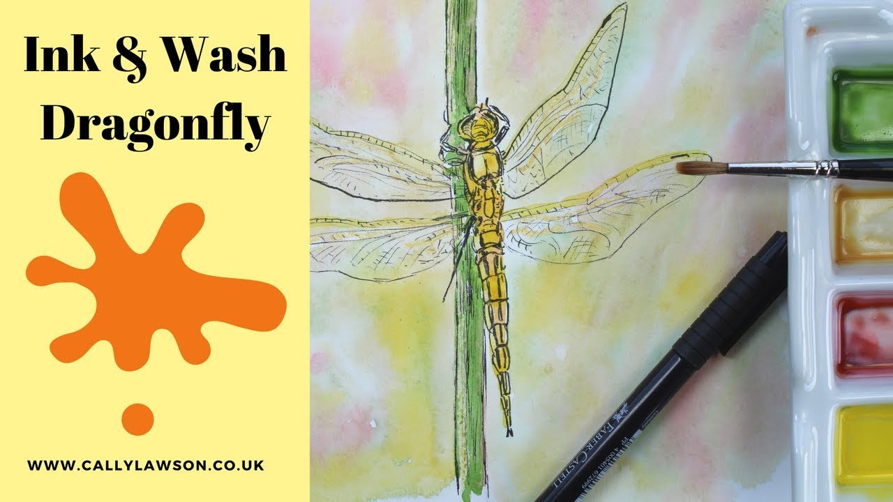 Ink and watercolour, beginners Dragonfly drawing and painting lesson ...