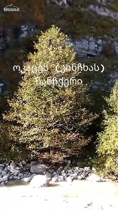 ოკაცეს კინჩხას ჩანჩქერი Okatse Kinchkha Waterfall Youtube