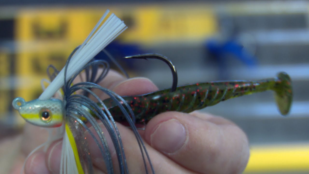 The Best Shad Lures for Fall Bass Fishing | Bass Fishing - YouTube