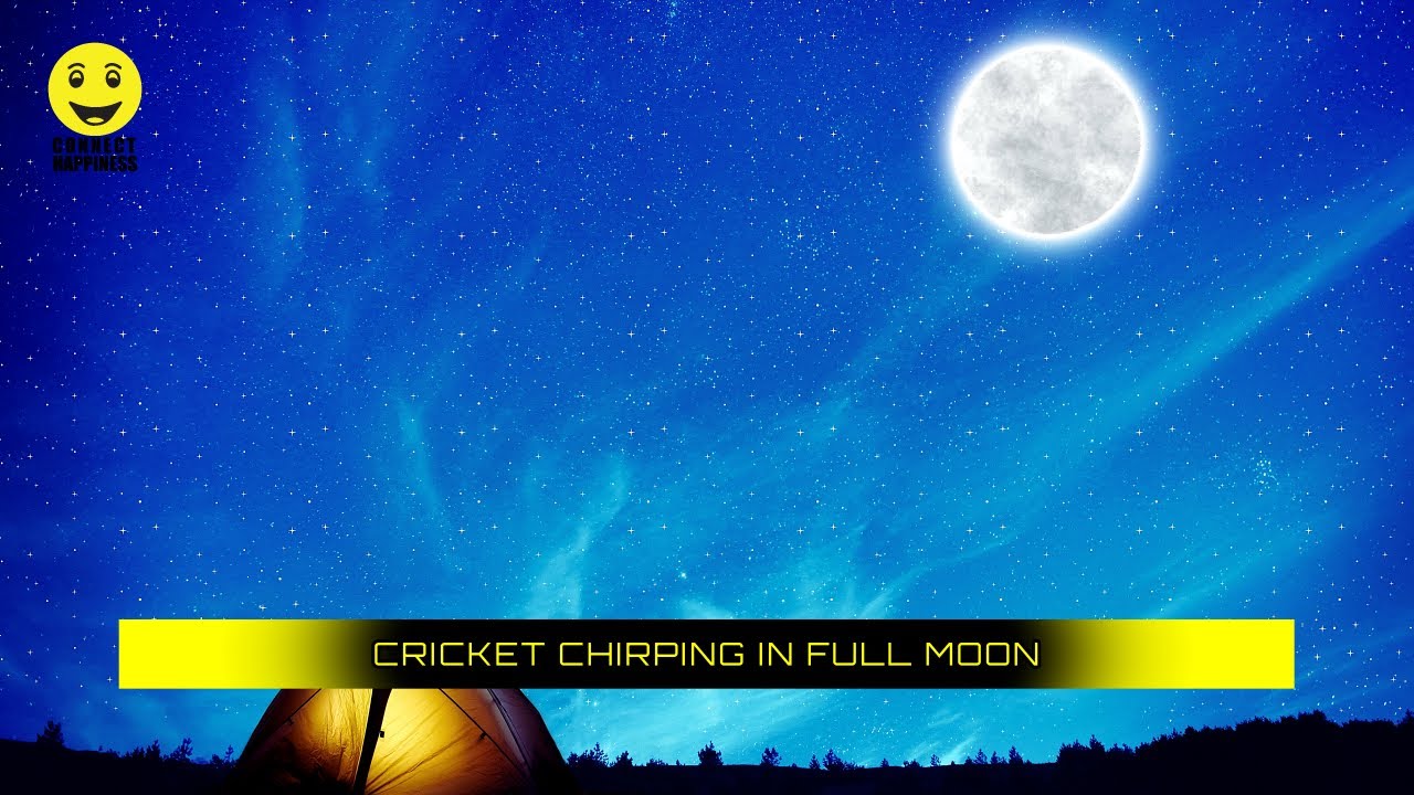 🦗 Cricket Chirping: Relaxing Cricket Sounds for Sleeping at Full Moon ...