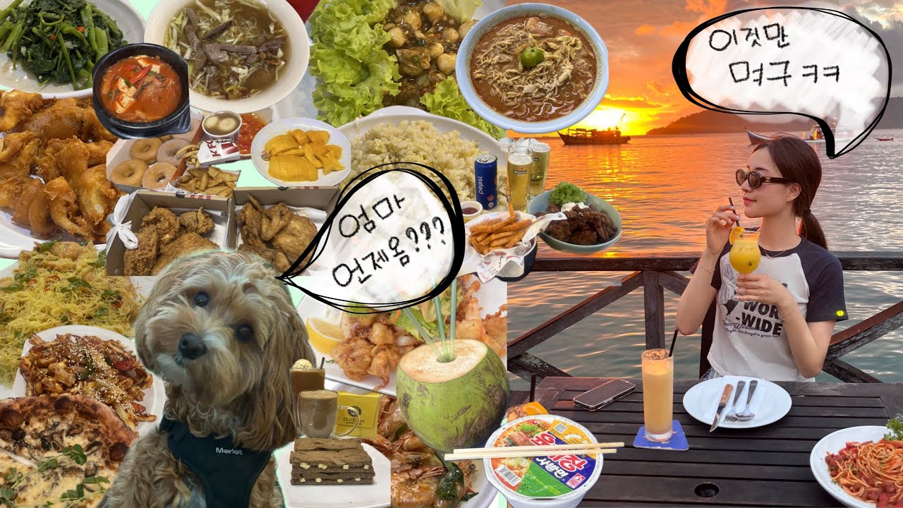 앙금엄마의 코타키나발루 여행기 ️ 유잇청 이펑락사 마무틱 사피섬 쌍천시푸드 올드커피망고보이그랩 코타키나발루