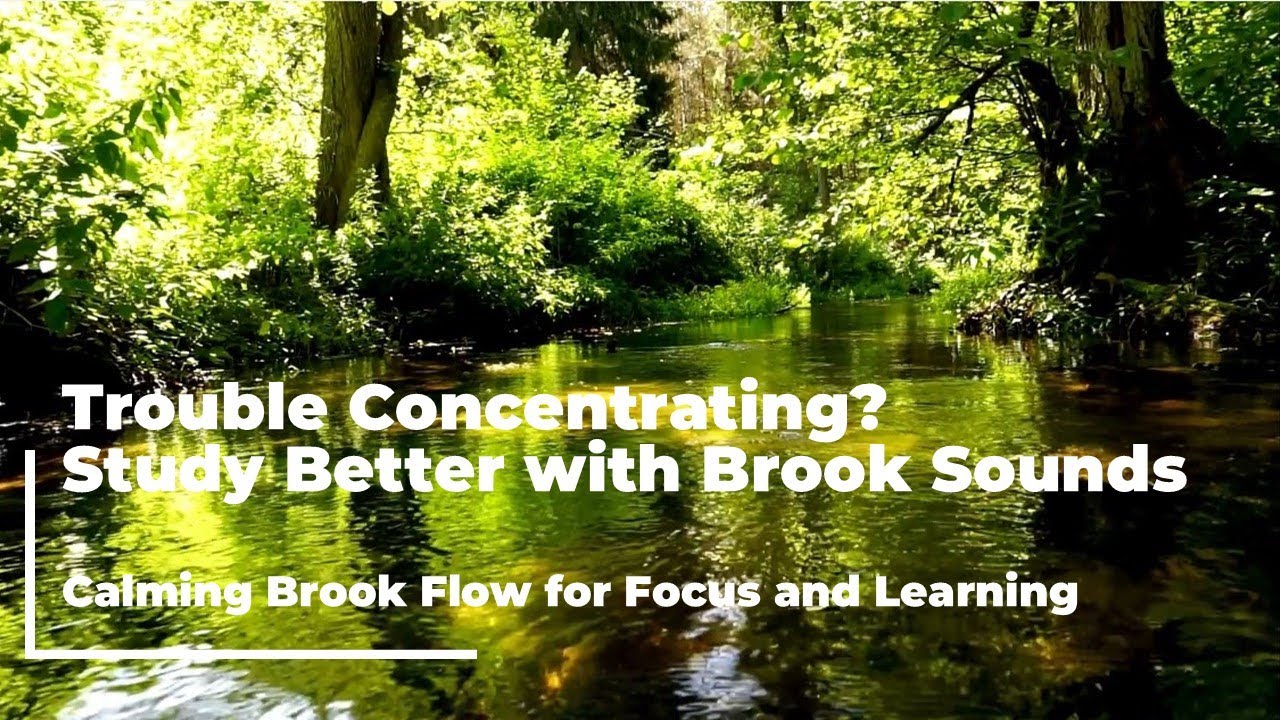 Calming Brook Flow for Focus and Learning | Nature Sounds for Study ...