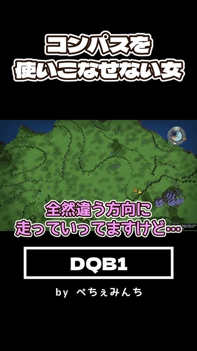 コンパスは正常。#shorts #ゲーム実況 #dqb #ドラクエ - YouTube