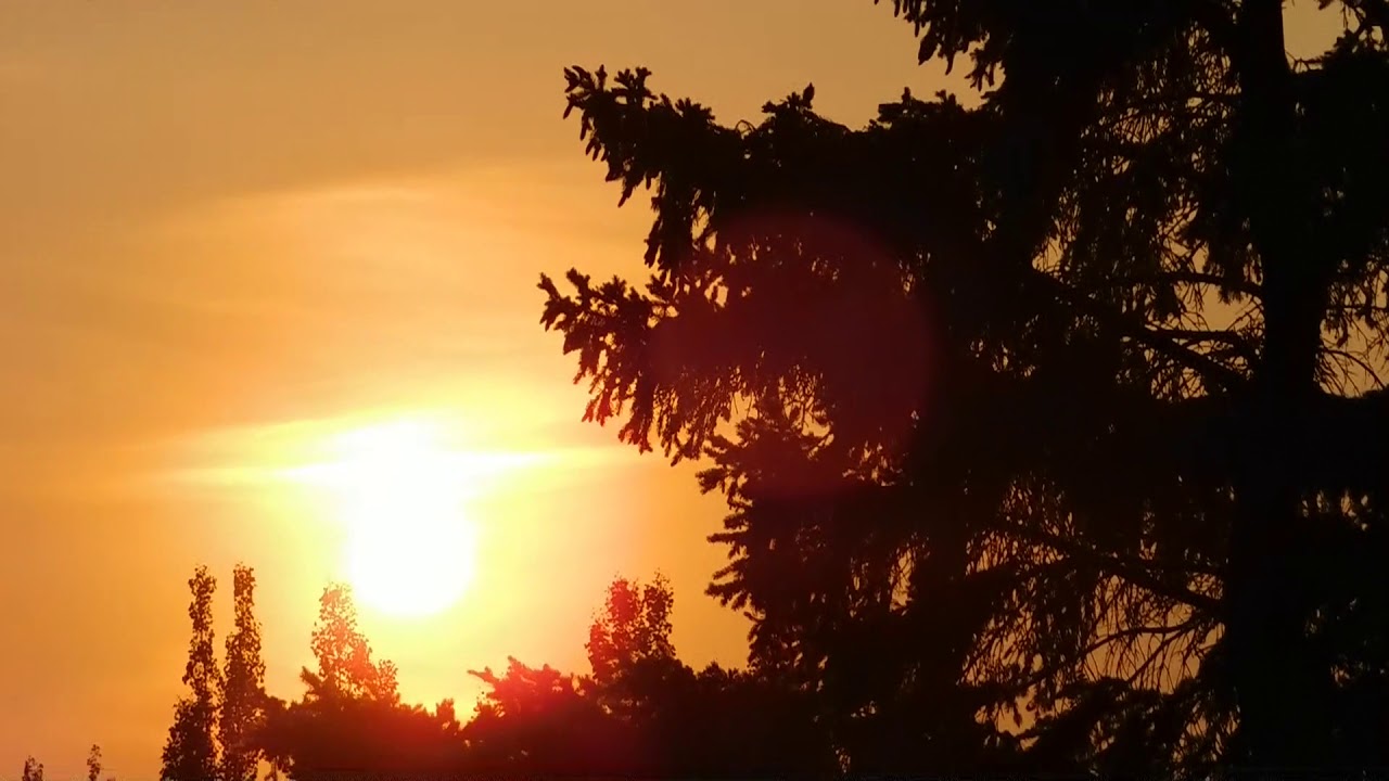 Sunset Time - Free Stock Creative Commons Video - YouTube
