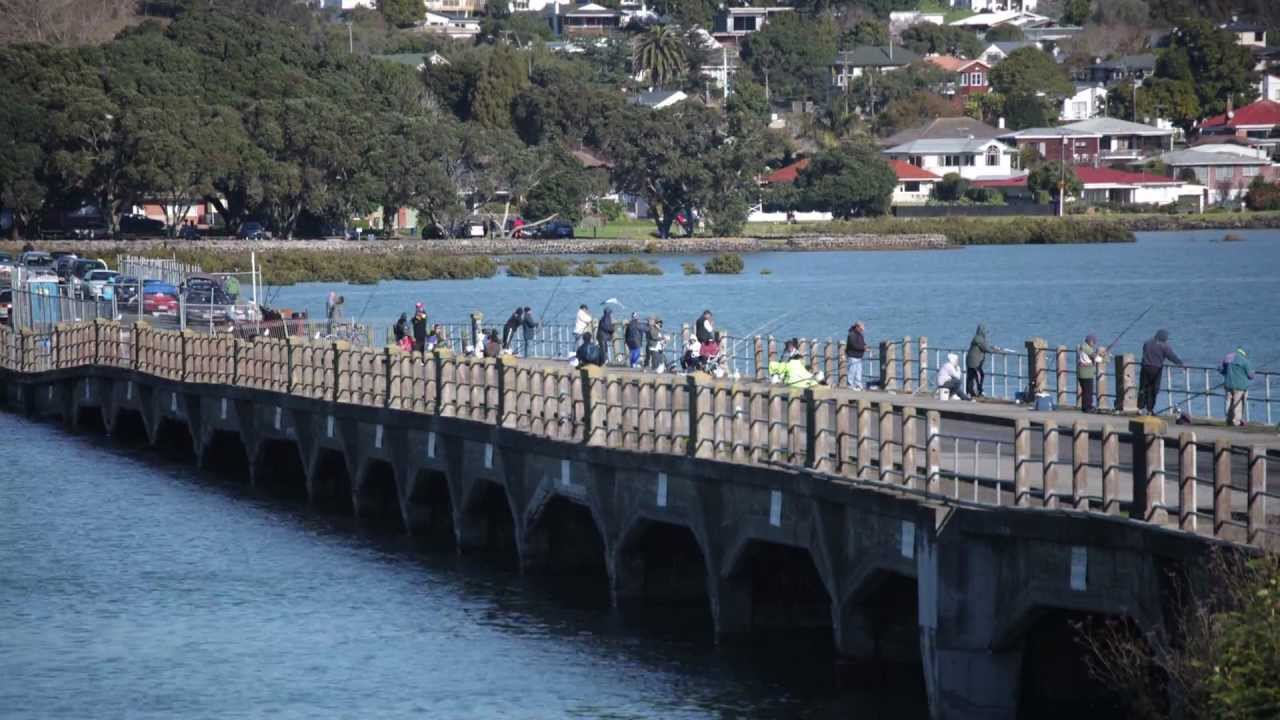 Mangere Bridge Time Lapse, March 2013 - YouTube