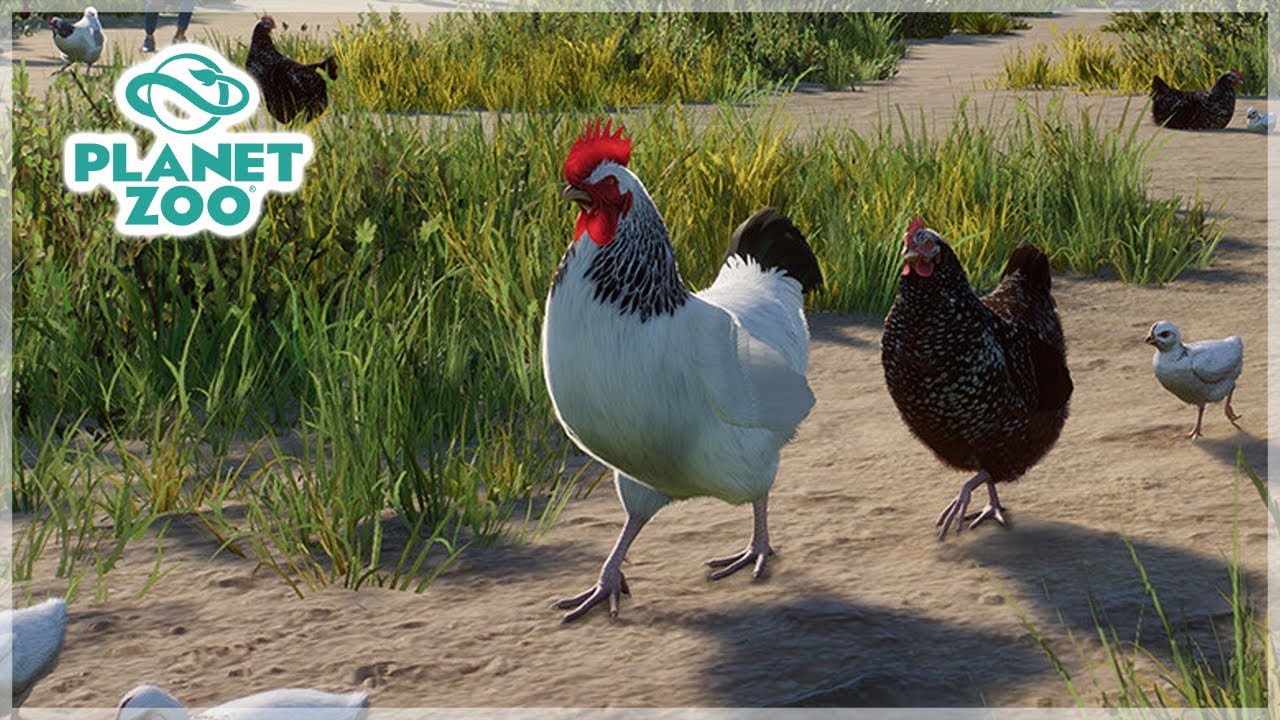 Building a Sussex Chicken Exhibit & Adding ATMs! | Planet Zoo Franchise ...