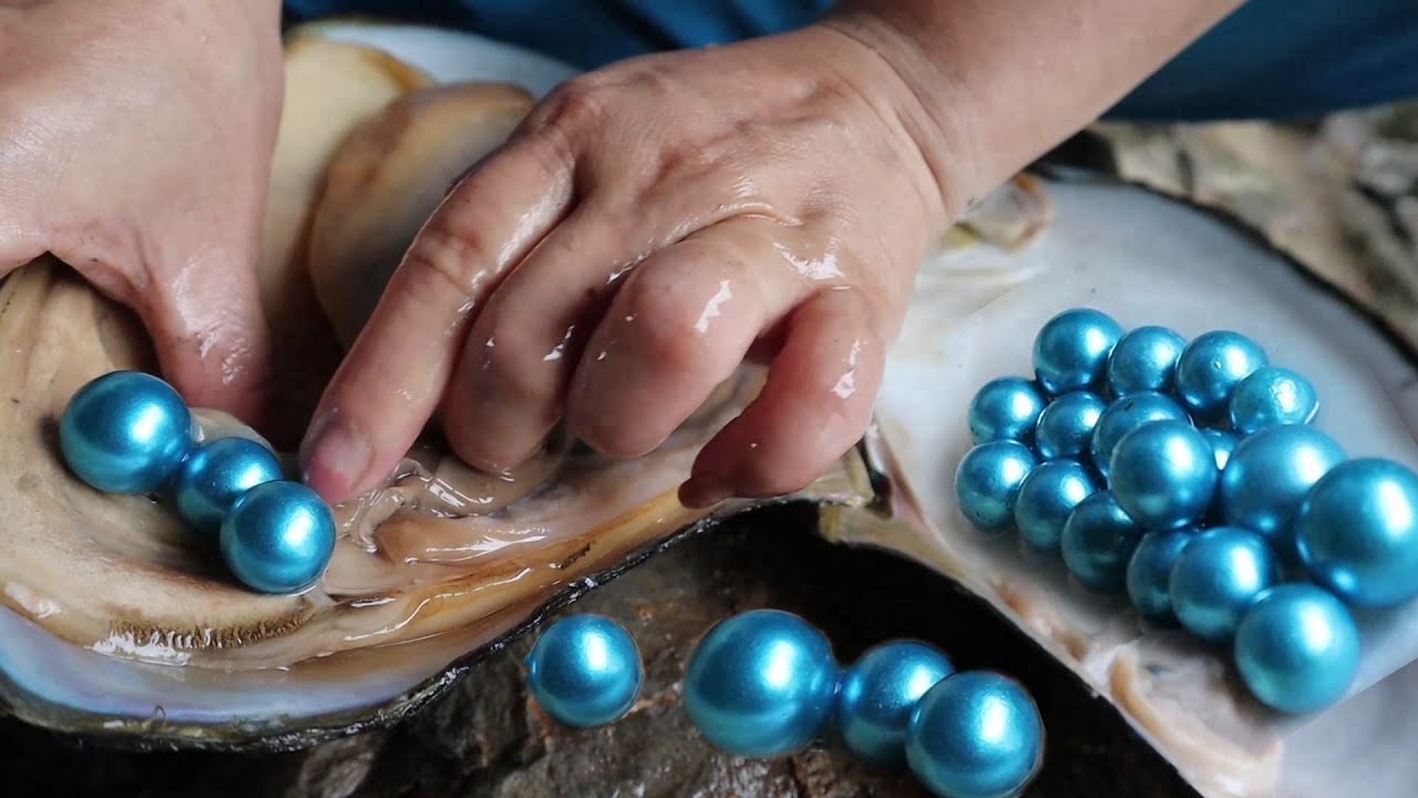 Unexpected wealth!Take out the treasure inside the pearl clam, the blue ...