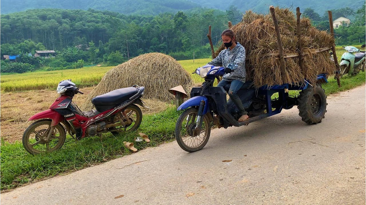 Repair and renovate abandoned tricycles used to transport rice - YouTube