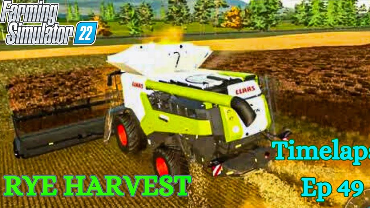 Stones Picking, Rye Harvest | Wild West Farm Timelapse Ep 49 FS22 - YouTube