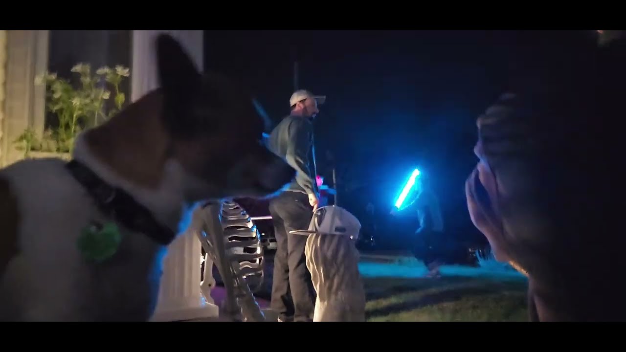 Chris Plays the Turtle Shell, while Rocky Watches a Lightsaber duel ...