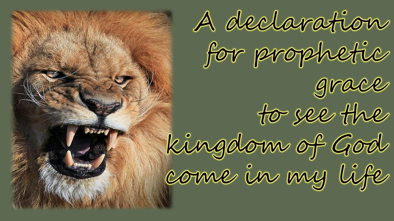 A declaration for prophetic grace, to see the kingdom of God come in my ...