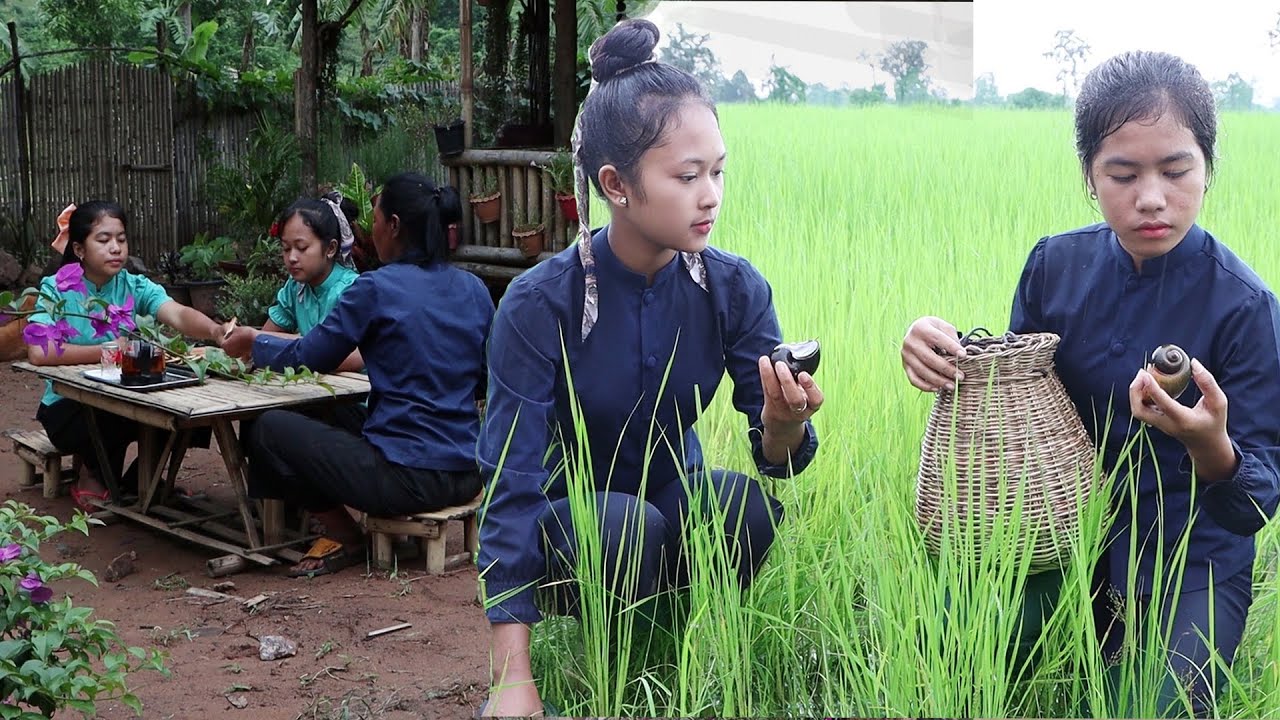 Yummy spicy and hot appetite, Pick snails in the field and cook snails ...