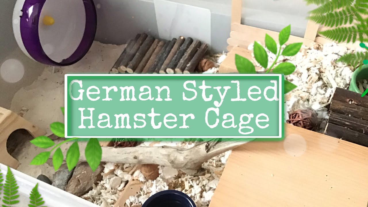 GERMAN STYLED HAMSTER CAGE🌿🐹 - YouTube