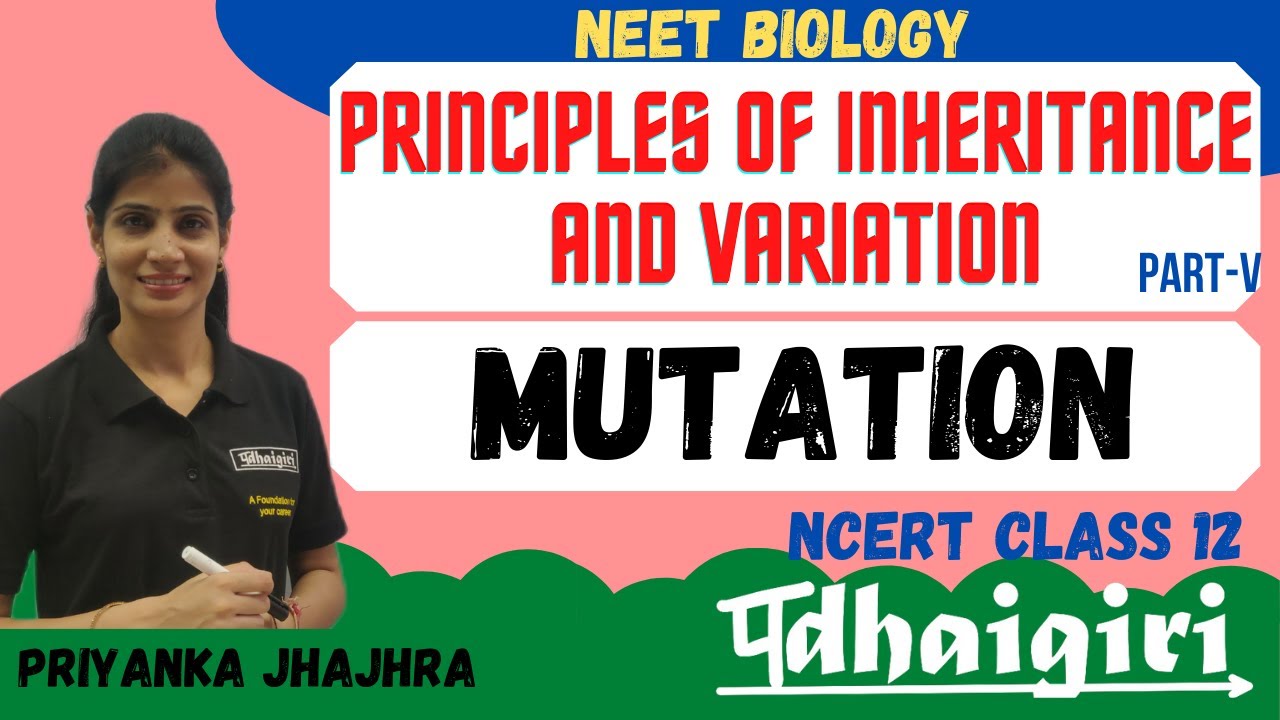 MUTATION | GENETICS | CLASS 12 | BIOLOGY NEET | PRIYANKA JHAJHRA - YouTube