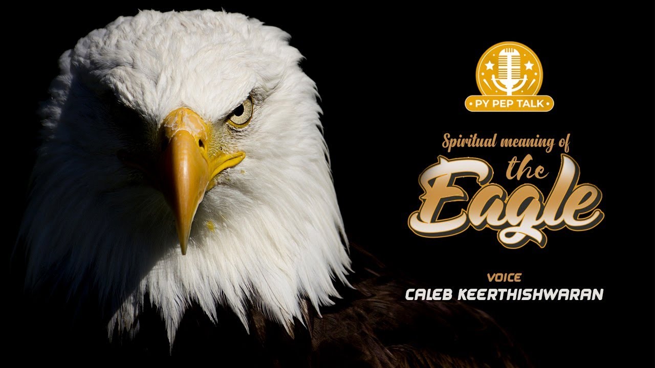 நீ கழுகா காகமா? | PY Pep Talk | The Eagle | Bro.Caleb - YouTube