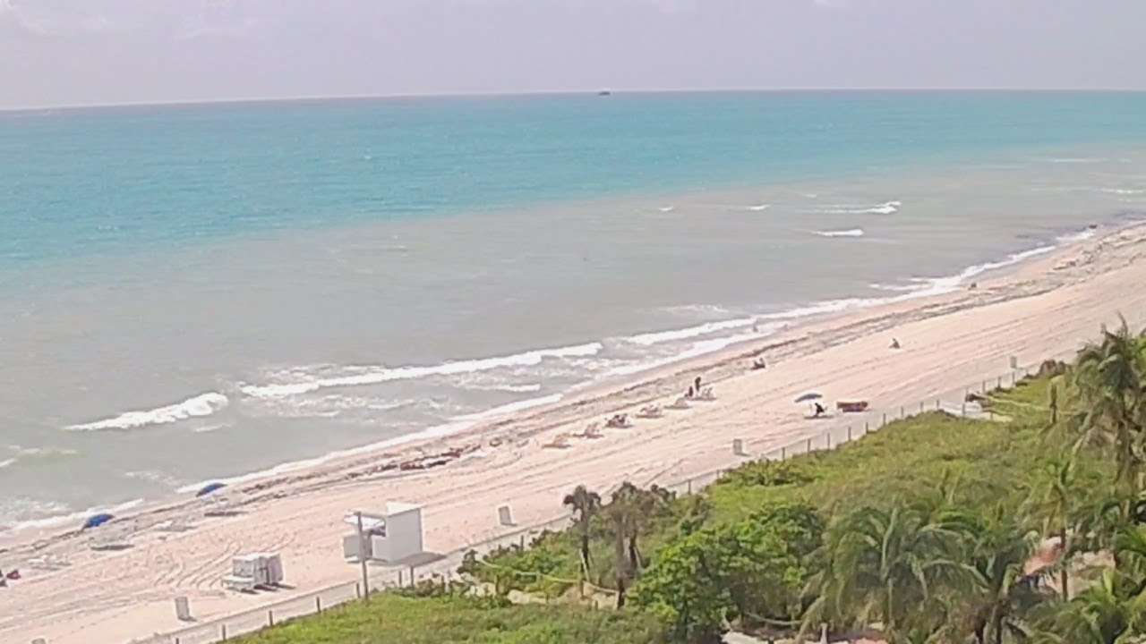 LIVE - Beach Camera, Miami Beach, Florida - YouTube
